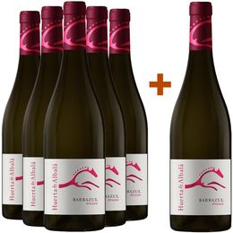 Huerta de Albal&aacute; Huerta de Albal&aacute; Pack descuento 5+1 Barbazul Rosado Cadiz VT Syrah 2023 Trocken - Andalusien &ndash; Probierpaket IGP