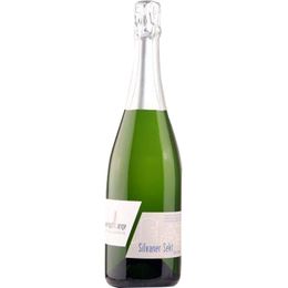 Weingut Schloss Saaleck brut nature Blauer Silvaner 2022 Brut - Saalecker Schlossberg Franken &ndash; Perl- & Schaumwein Winzersekt