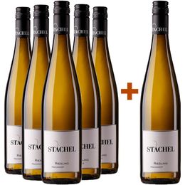 Weingut Erich Stachel 5+1 Paket Maikammer Riesling 2022 Trocken - Pfalz &ndash; Probierpaket Qualit&auml;tswein