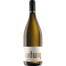 Weingut Gebr&uuml;der Ludwig Weingut Gebr&uuml;der Ludwig 1,0 L Riesling 2024 Feinherb - Mosel &ndash; Wei&szlig;wein Qualit&auml;tswein