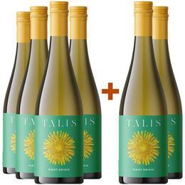 Talis Wine 4+2 Friuli Pinot Grigio 2023 Trocken - Friaul &ndash; Probierpaket DOC