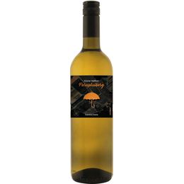 Weingut Steyrer DAC Parapluiberg Gr&uuml;ner Veltliner 2025 Trocken - Traisental &ndash; Wei&szlig;wein Qualit&auml;tswein