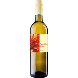Wein & Secco K&ouml;th Wein & Secco K&ouml;th S&eacute;millon Blanc 2024 Trocken - Rheinhessen &ndash; Wei&szlig;wein Qualit&auml;tswein