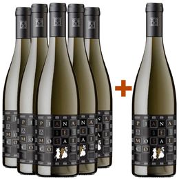 Borgo del Baccano 5+1 Paket Piana Mosaico Bianco Lazio Cuv&eacute;e 2021 - Latium &ndash; Probierpaket IGP