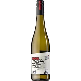Weingut Martin G&ouml;bel Weingut Martin G&ouml;bel feinfruchtig Bacchus 2025 Halbtrocken - Rock Franken &ndash; Wei&szlig;wein Qualit&auml;tswein