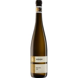 Weingut F-J Regnery GG Riesling 2022 Trocken - Kl&uuml;sserather Bruderschaft Mosel &ndash; Wei&szlig;wein Qualit&auml;tswein