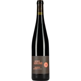 Weingut Keber Kolling Regent 2023 Trocken - Nahe &ndash; Rotwein Qualit&auml;tswein