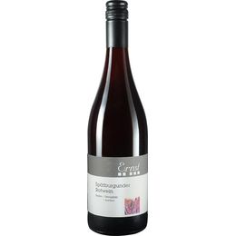 Weingut Ernst Steingässle Spätburgunder 2022 Trocken - Baden – Rotwein Qualitätswein
