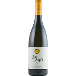 Bodega La Haya Blanco Barrica Valle de Orotava Cuv&eacute;e 2020 - Kanarische Inseln &ndash; Wei&szlig;wein DOP