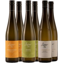Weingut Tom Dockner Feinschmecker-Sommerpaket - Verschiedene Regionen &ndash; Probierpaket Qualit&auml;tswein