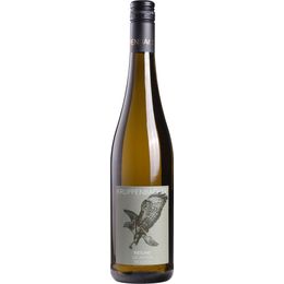 Weingut Kruppenbacher Kalkmeer Riesling 2022 Trocken - Rheinhessen – Weißwein Qualitätswein