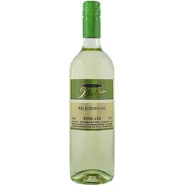 Weingut Allacher Welschriesling 2025 Trocken - Zwergacker Burgenland &ndash; Wei&szlig;wein &Ouml;sterreichischer Wein