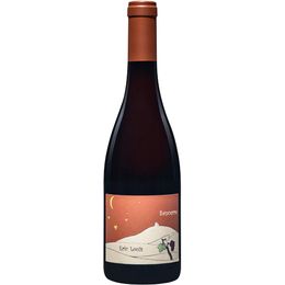 Domaine Eric Louis Sancerre rouge Pinot Noir 2022 Trocken - Sud-est de Loire – Rotwein AOP