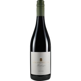 Weingut H&auml;u&szlig;ermann Weingut H&auml;u&szlig;ermann Lemberger 2023 Trocken - W&uuml;rttemberg &ndash; Rotwein Qualit&auml;tswein