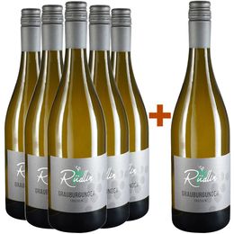 Wein- und Obsthof R&uuml;dlin 5+1 Paket FundamenT Grauburgunder 2023 Trocken - Baden &ndash; Probierpaket Badischer Landwein