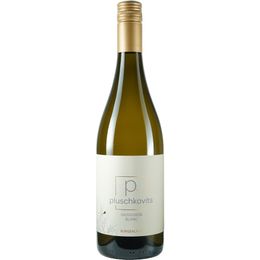 Pluschkovits Sauvignon Blanc 2023 - Burgenland &ndash; Wei&szlig;wein Qualit&auml;tswein