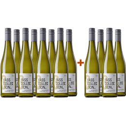 Weingut Fasskollektion 8+4 Paket Kaiserstuhl Weissburgunder + Chardonnay Cuv&eacute;e 2023 Trocken - Baden &ndash; Probierpaket Qualit&auml;tswein