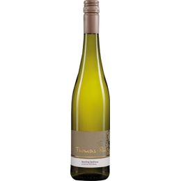 Weingut Thomas-R&uuml;b Weingut Thomas-R&uuml;b Riesling 2024 S&uuml;&szlig; - Ensheimer Kachelberg Rheinhessen &ndash; Wei&szlig;wein Sp&auml;tlese