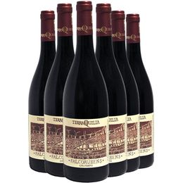 TerraQuilia Falcorubens col fondo Emilia -Paket Lambrusco Grasparossa 2019 Trocken - Romagna &ndash; Probierpaket IGP