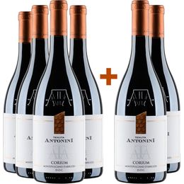 Tenuta Antonini Alessio 4+2 Paket Corium d'Abruzzo Montepulciano 2023 Trocken - Abruzzen &ndash; Probierpaket DOC