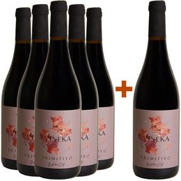 Vineka 5+1 Paket Puglia Primitivo Trocken - Apulien &ndash; Probierpaket IGP