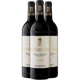 Bodegas Familiares Matarromera Aktionspaket 3 Flaschen 2020 Crianza Ribera del Duero DO Tempranillo 2022 Trocken - Kastilien und Le&oacute;n &ndash; Probierpaket