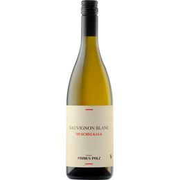 PRIMUS Muschelkalk - Slowenien Sauvignon Blanc 2024 Steiermark &ndash; Wei&szlig;wein Qualit&auml;tswein