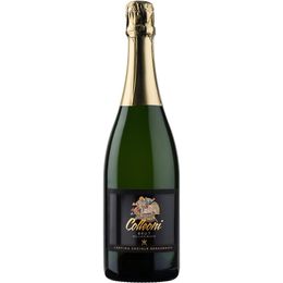 Cantina Sociale Bergamasca Spumante Metodo Classico Terre Del Colleoni brut Cuv&eacute;e 2020 Brut - Lombardei &ndash; Perl- & Schaumwein DOC
