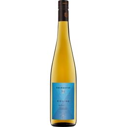 Weingut Stefan Oberhofer Alte Reben Riesling 2021 Trocken - Pfalz &ndash; Wei&szlig;wein Qualit&auml;tswein