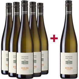 Dom&auml;ne Wachau Dom&auml;ne Wachau 5+1 Paket Federspiel Terrassen Riesling 2024 Trocken - DAC &ndash; Probierpaket Qualit&auml;tswein