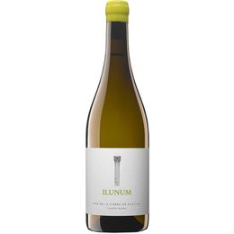 Ilunum Blanco Castilla VT Cuv&eacute;e 2024 Trocken - Kastilien-La Mancha &ndash; Wei&szlig;wein IGP