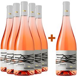 Tenute Navarra 5+1 Paket Disiata Rosato Terre Siciliane Frappato 2024 Trocken - Sizilien &ndash; Probierpaket IGP