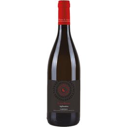 Tenuta le Lune del Vesuvio Luna Rossa Campania Aglianico 2024 Trocken - Kampanien &ndash; Rotwein IGP