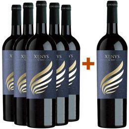 Vi&ntilde;edos y Bodegas Xenysel 5+1 Paket Xenys 12 Meses Jumilla DO Monastrell 2022 Trocken - Murcia &ndash; Probierpaket DOP