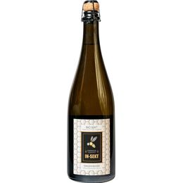 Weingut Singer-Bader INSEKT brut Riesling Brut - Württemberg – Perl- & Schaumwein Sekt b.A.
