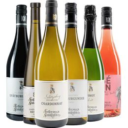 Weingut Freiherr von und zu Franckenstein - Baden &ndash; Probierpaket Diverse