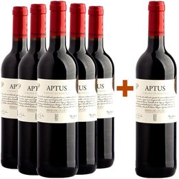 Bodegas Pe&ntilde;alba Herraiz 5+1 Aktionspaket Aptus Ribera del Duero DO Tempranillo 2022 Trocken - Kastilien und Le&oacute;n &ndash; Probierpaket DOP