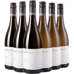 Winzergenossenschaft Achkarren Edition A-Paket - Die Spitzenklasse 2022 Trocken Baden &ndash; Probierpaket Qualit&auml;tswein