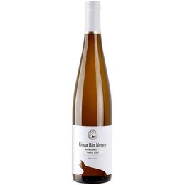 Finca R&iacute;o Negro Castilla VT Gew&uuml;rztraminer 2024 Trocken - Franco arcilloso, con roca madre caliza Kastilien-La Mancha &ndash; Wei&szlig;wein DOP