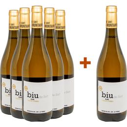 Celler Batlliu de Sort Aktionspaket 5+1 Biu Costers del Segre DO Riesling 2020 Trocken - Katalonien &ndash; Probierpaket DOP