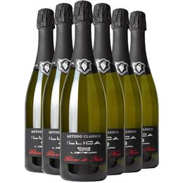 Azienda Vitivinicola Illica 1919 Il Centenario Blanc de Noirs-Paket Barbera 2021 - Emilia Romagna &ndash; Probierpaket Vino Generico