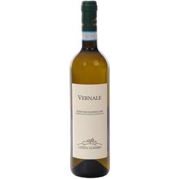 Cantina Valdimiro Vernale Inglese Verdicchio di Matelica Bianco 2021 Trocken - Marken &ndash; Wei&szlig;wein DOC