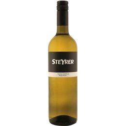 Weingut Steyrer Traisental Ried Point DAC Gr&uuml;ner Veltliner 2024 Trocken - &Ouml;sterreich/Traisental/Kuffern &ndash; Wei&szlig;wein Qualit&auml;tswein