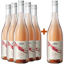 Le Vie Angarano 5+1 Paket Sisters Veneto Merlot 2022 - Venetien &ndash; Probierpaket IGP