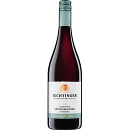Jechtinger Weinmanufaktur eG Amolterer Sp&auml;tburgunder 2023 Feinherb - Baden &ndash; Rotwein Qualit&auml;tswein