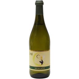 Valle Erro Malfatti 1961 Moscato del Piemonte Bianco Trocken - Piemont &ndash; Wei&szlig;wein DOC