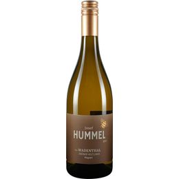 Bioweingut Josef Hummel Ried Wadenthal Gr&uuml;ner Veltliner 2024 Trocken - &ndash; Wei&szlig;wein Qualit&auml;tswein