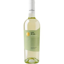 Cantine San Pancrazio Terre di Sole Bianca Salento Malvasia 2024 Trocken - Apulien – Weißwein IGP