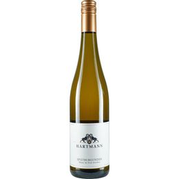 Weingut Hartmann Sp&auml;tburgunder Blanc De Noir 2025 Trocken - Rheinhessen &ndash; Wei&szlig;wein Deutscher Wein