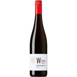 Weingut Wisser Sp&auml;tburgunder Blauer 2022 Trocken - Pfalz &ndash; Rotwein Qualit&auml;tswein